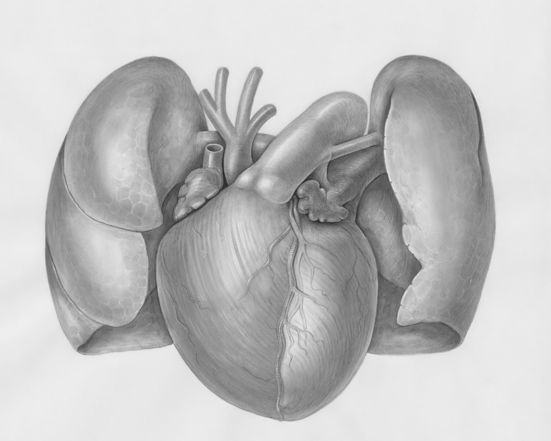 Connecting with Your Heart Frequency: A Guide