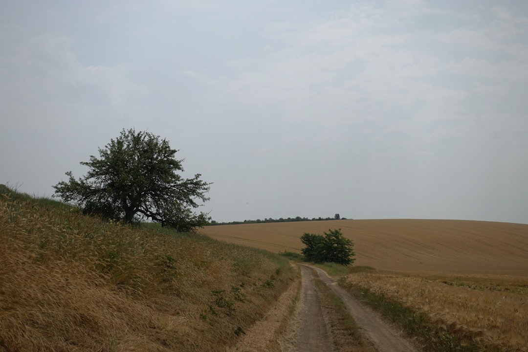 Establishing Healthy Boundaries in Spiritual Communities