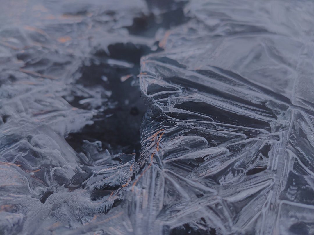 Recognizing Functional Freeze in Daily Life