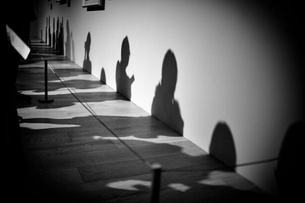 Embracing Your Shadow: Integrating Shadow Traits