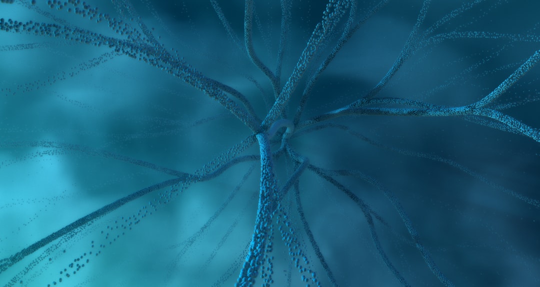 The Neuroscience of Pattern Completion: Understanding Memory and Perception