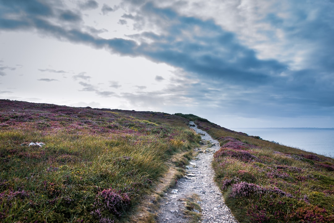 Why Is My Intuition Always Wrong? Exploring the Pitfalls of Gut Instinct