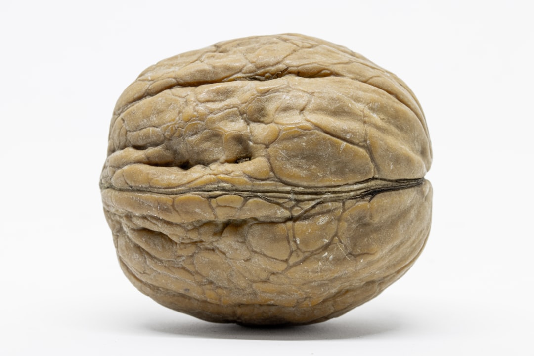 Feeding Your Brain: Safety Evidence and Tips