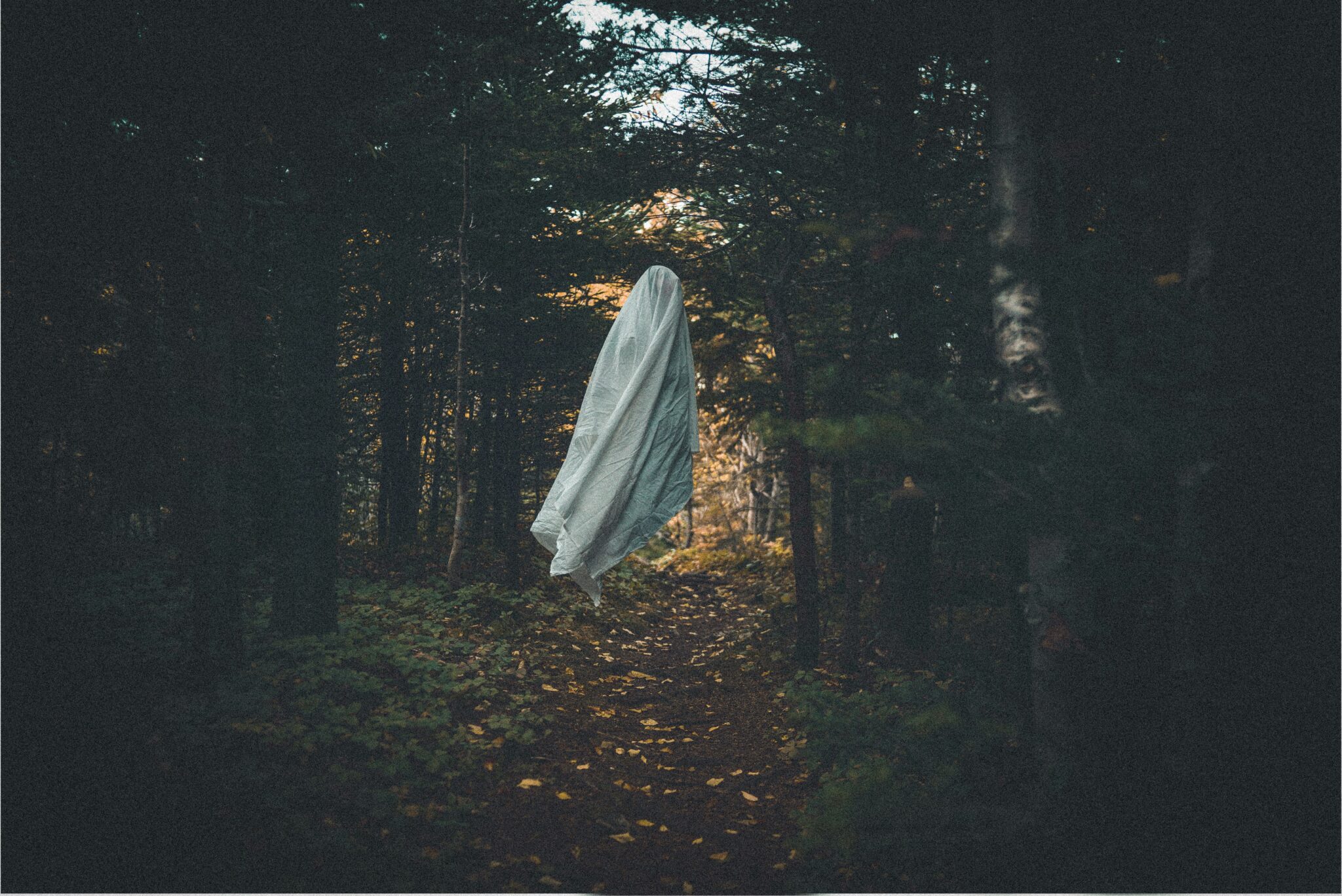 Haunted by Trauma: Why Survivors Feel Like Ghosts